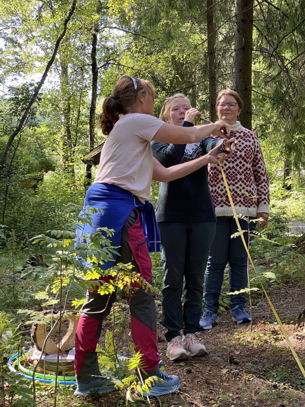 Naturen som læringsarena - lærerkurs - Lære med Skogen